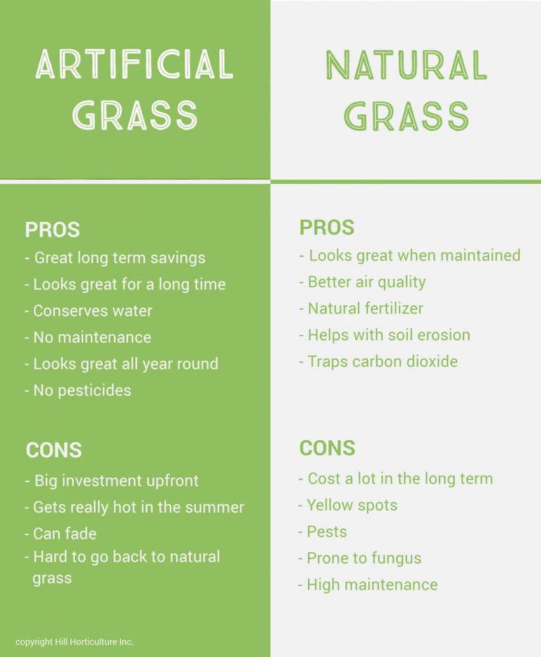 Artificial Grass vs. Natural Grass Comparison | Hill Horticulture
